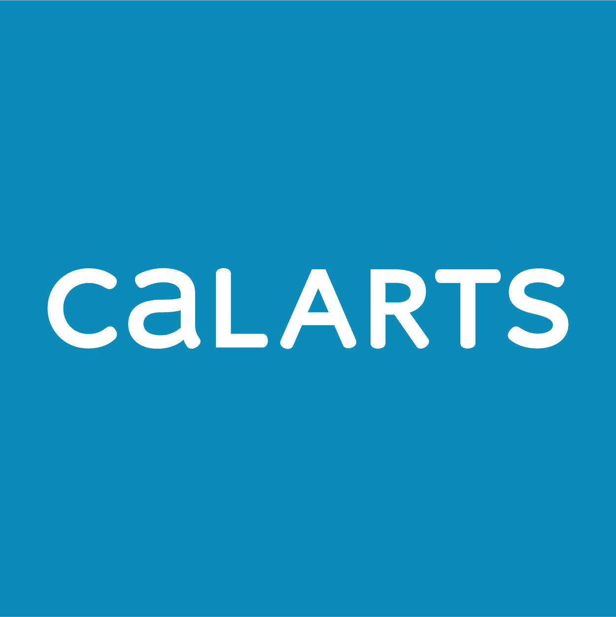 Pros and Cons of Choosing the California Institute of the Arts for ...